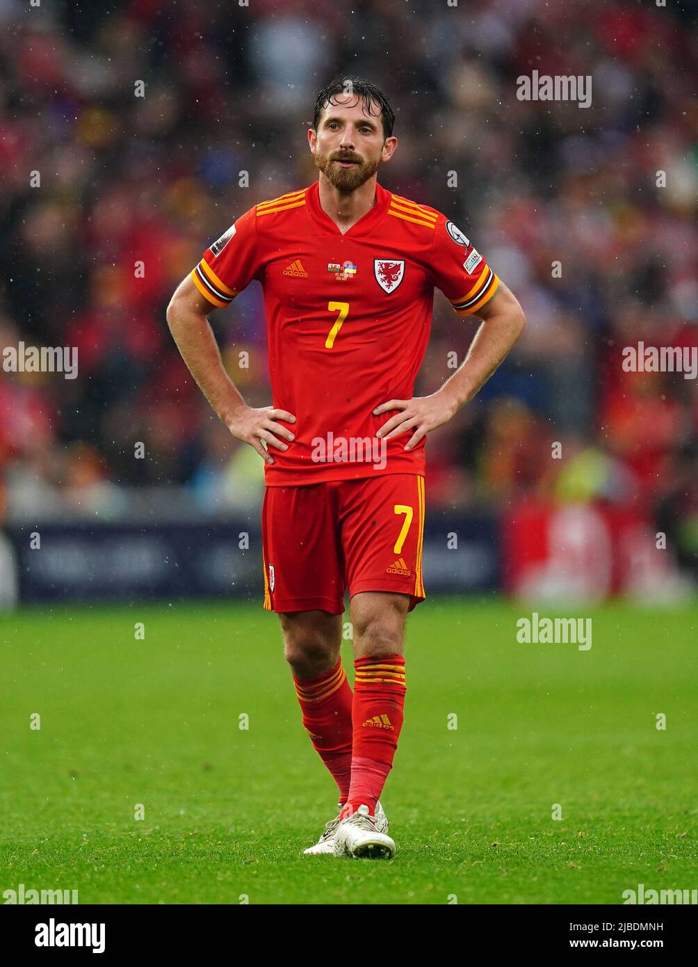 Wales' Joe Allen during the FIFA World Cup 2022 Qualifier play-off ...