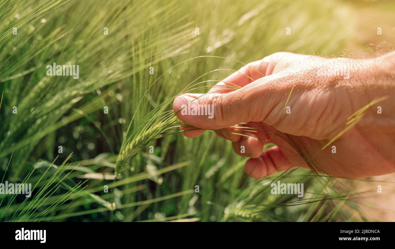Hand spike hi-res stock photography and images - Alamy