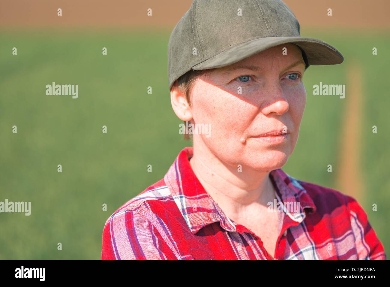 Headshot of female farmer in cultivated wheat seedling field, farm ...
