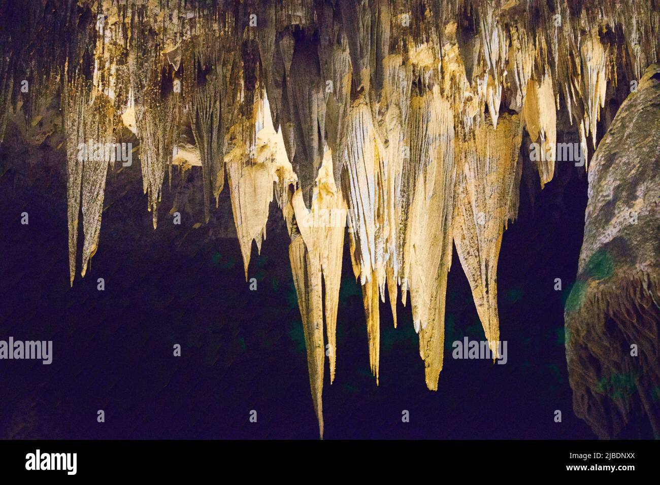 View of Stalactite ceiling in Carlson Bad Cavern. With yellow, green ...