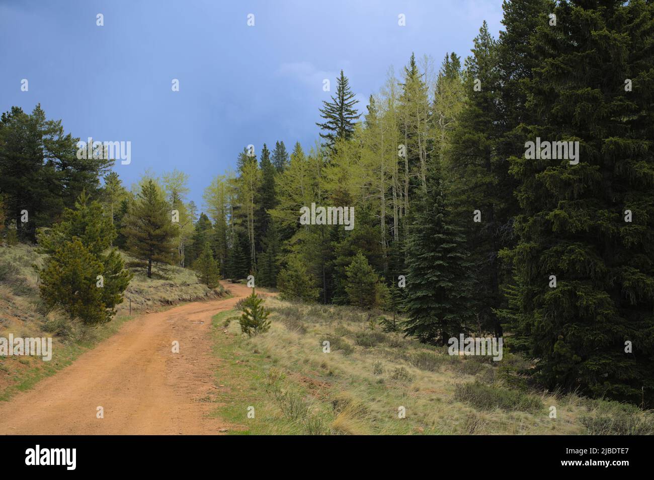 After a tough hike the Bugling Elk trail back to the car Stock Photo ...