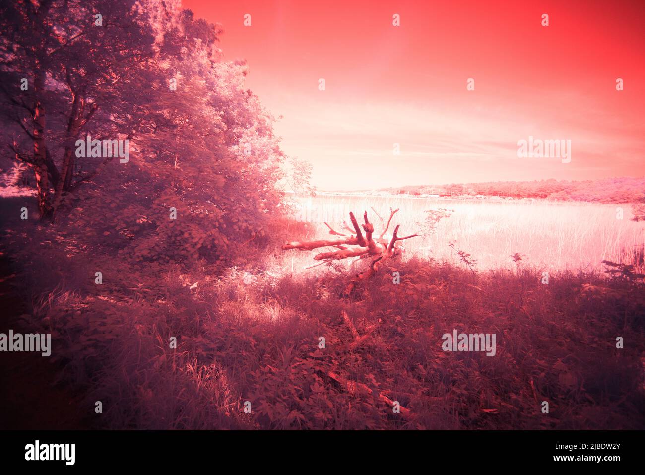 Amund island hi-res stock photography and images - Alamy