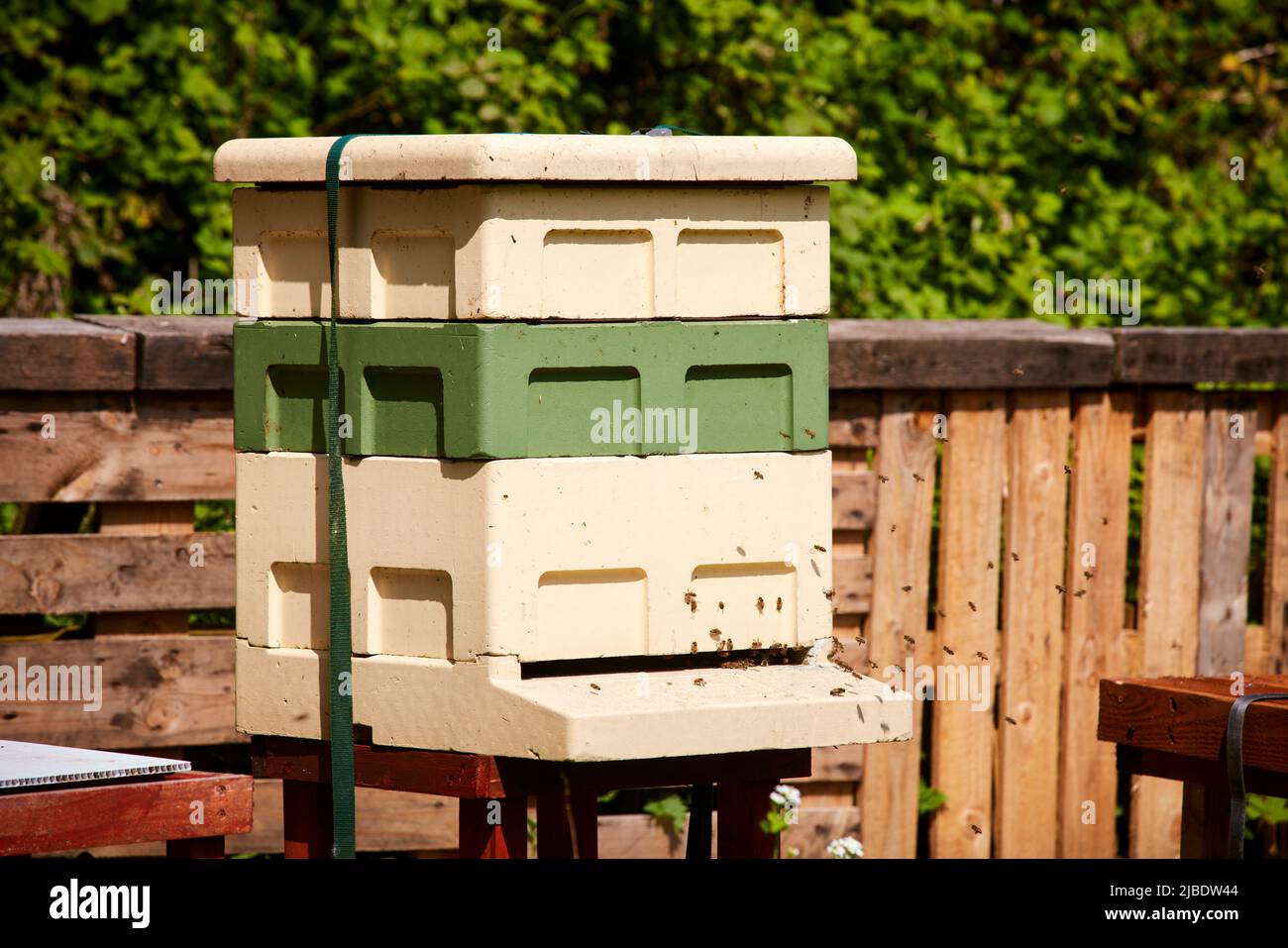 North West garden influencers and Fiskars take over plots at Abbey Hey ...