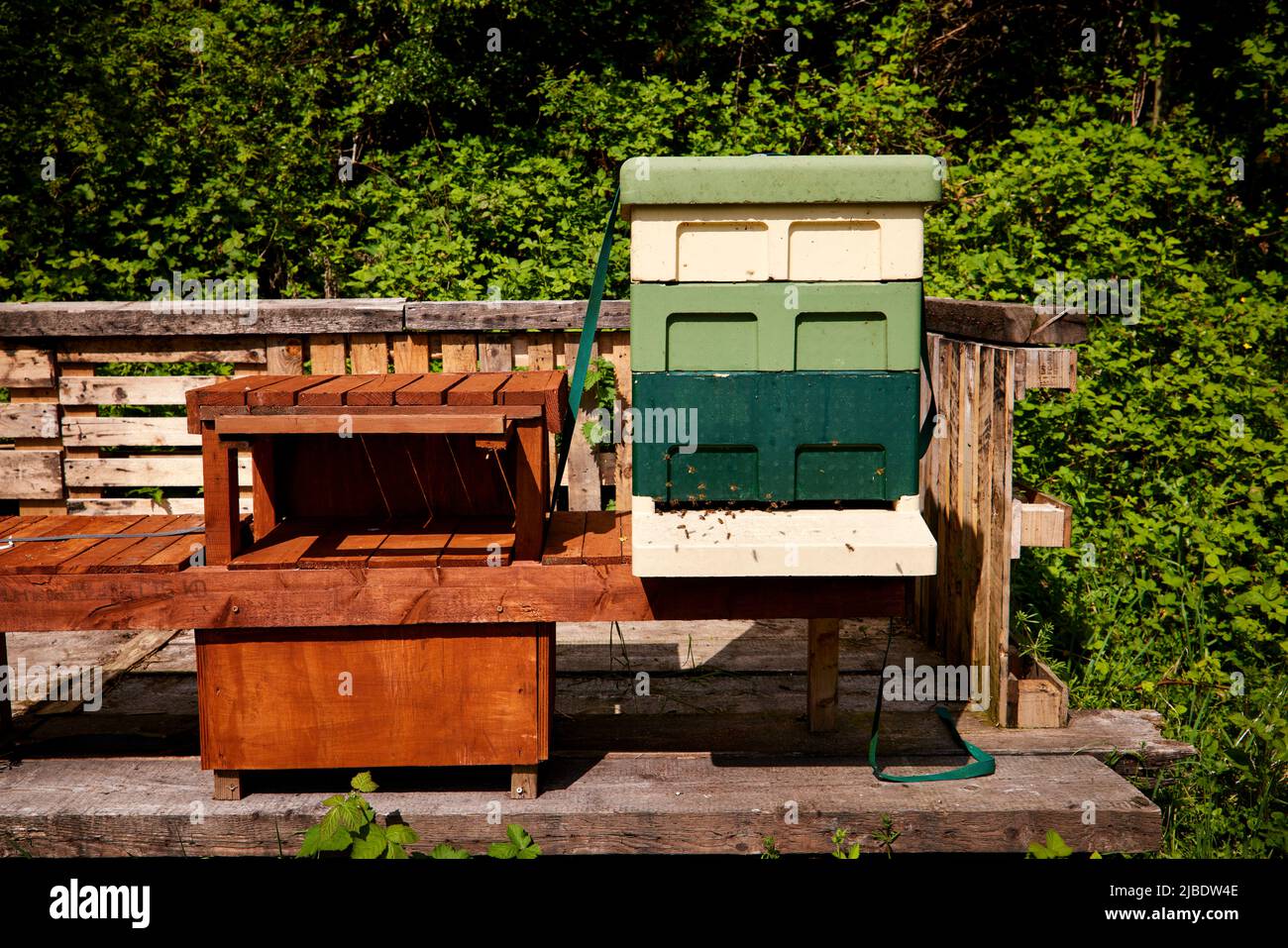 North West garden influencers and Fiskars take over plots at Abbey Hey ...