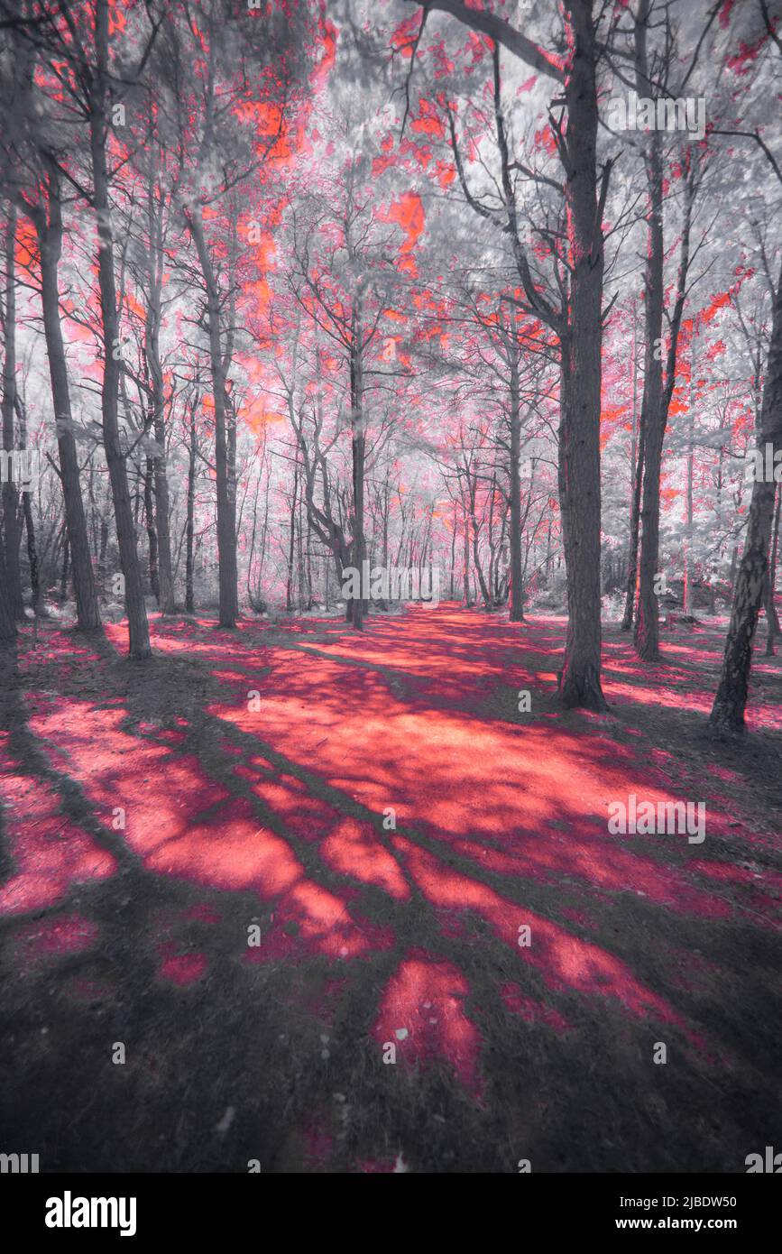 Stora Amund Island Nature reserve in Infrared Stock Photo - Alamy