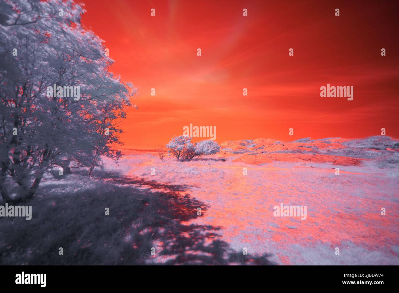 Stora Amund Island Nature reserve in Infrared Stock Photo - Alamy