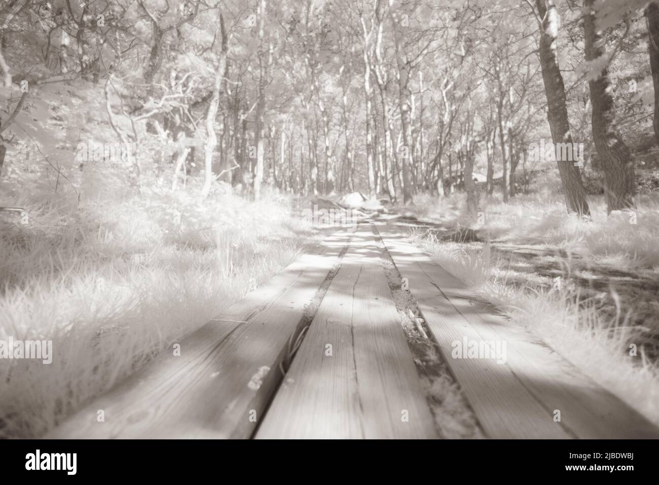 Amund island hi-res stock photography and images - Alamy