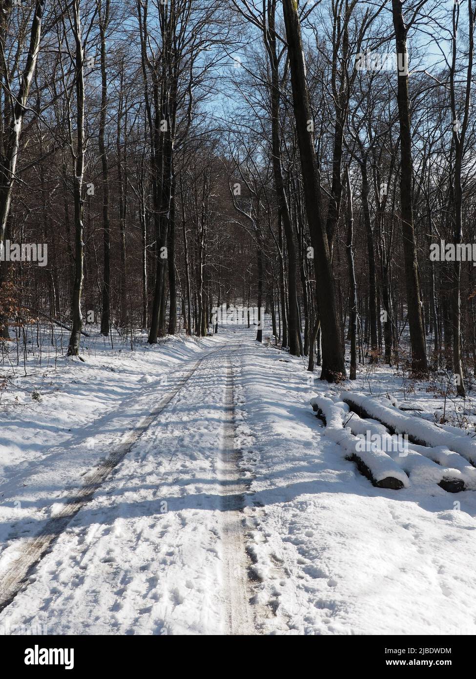 Shadows cast on snow hi-res stock photography and images - Alamy