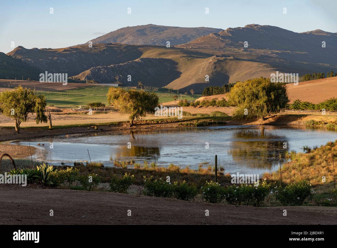 Caledon, Western Cape, South Africa. 2022. Evening light in the ...