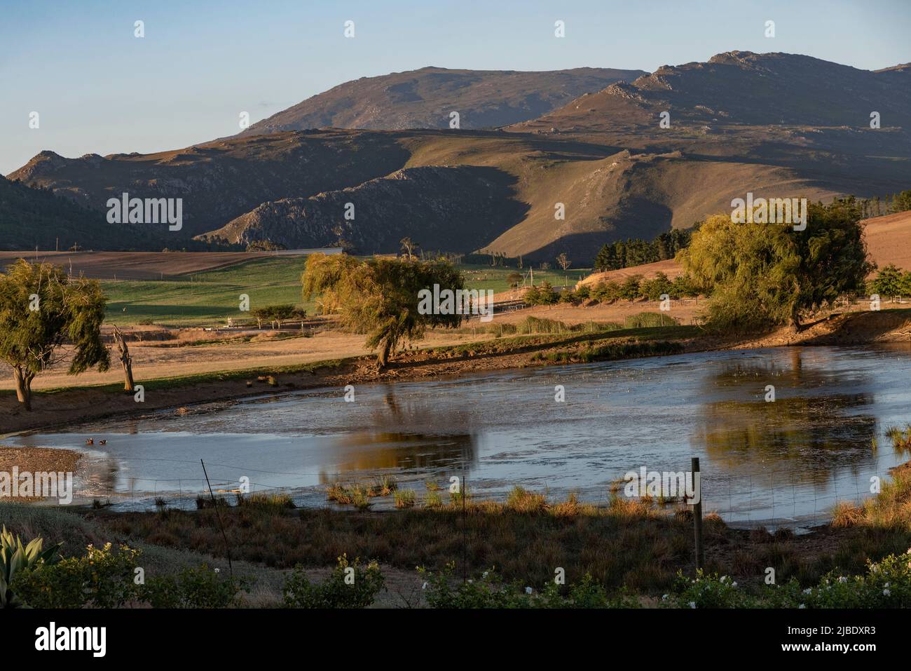 Caledon, Western Cape, South Africa. 2022. Evening light in the ...