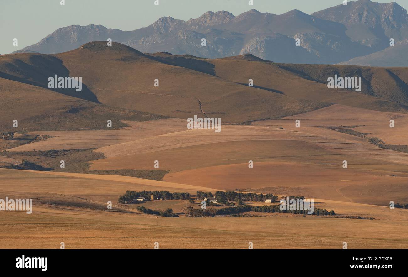 Caledon, Western Cape, South Africa. 2022. The wheatlands area of the ...
