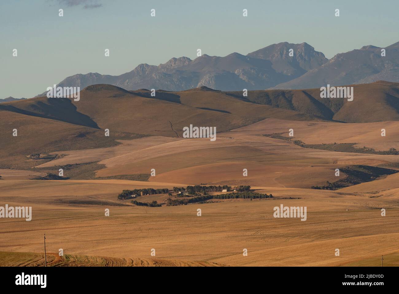 Caledon, Western Cape, South Africa. 2022. The wheatlands area of the ...