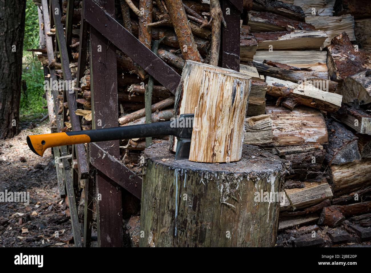 An axe driven into a stump. Preparing firewood. Chopping wood on a ...
