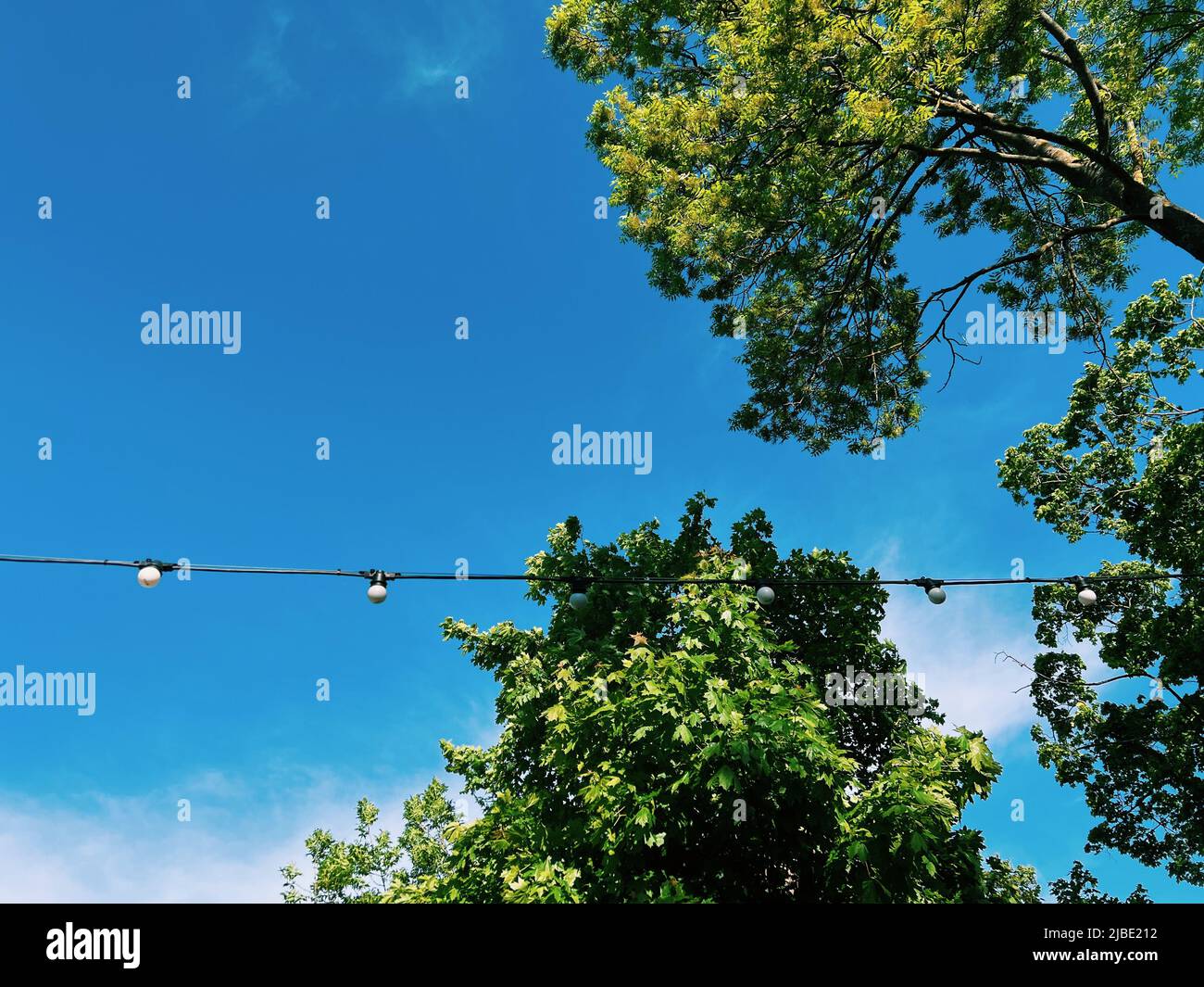 Trees and light strings hi-res stock photography and images - Alamy
