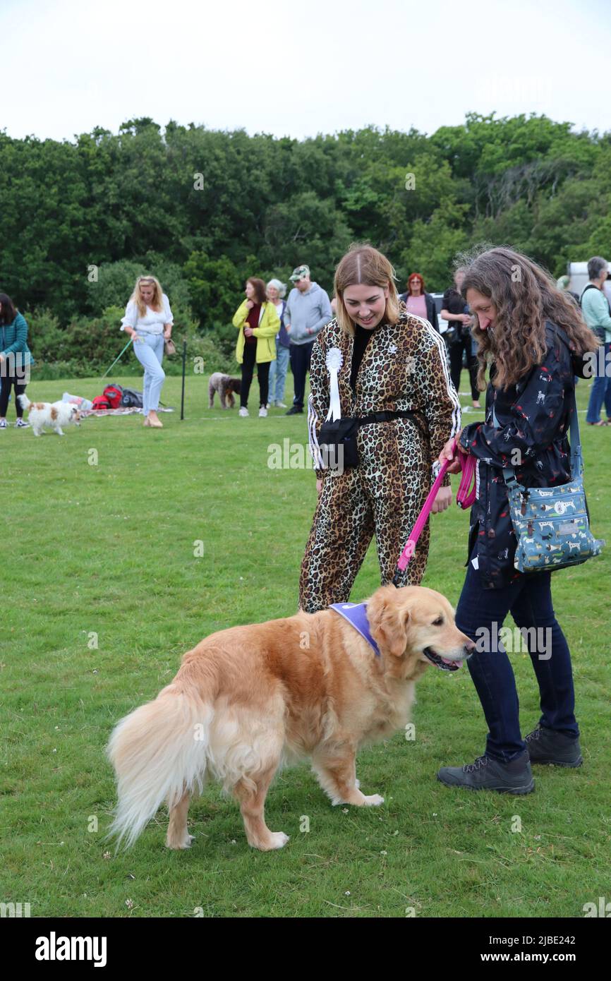 Dog being judged hi-res stock photography and images - Alamy
