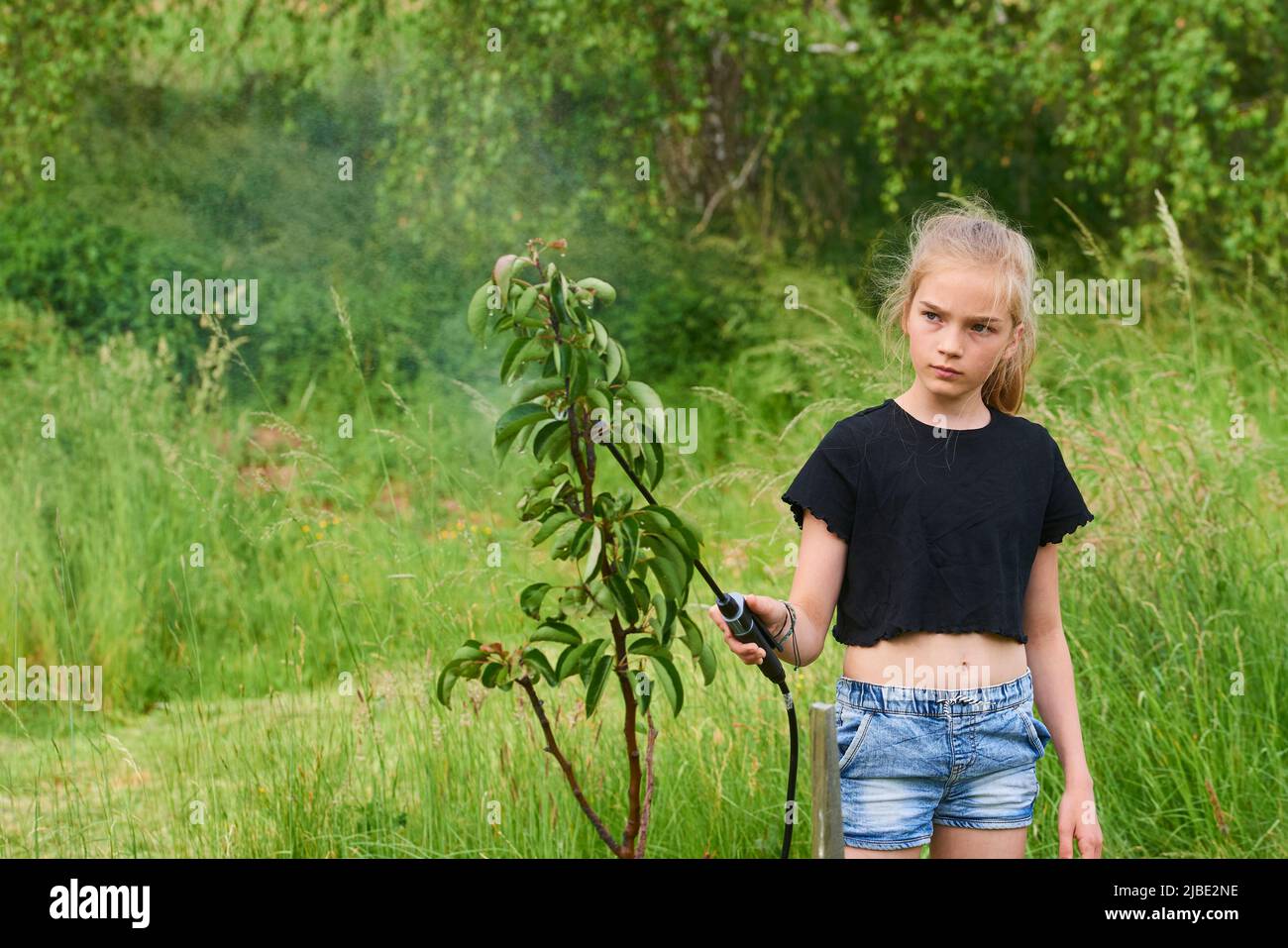 Teenage girl spraying ecological product against aphids and other pests ...