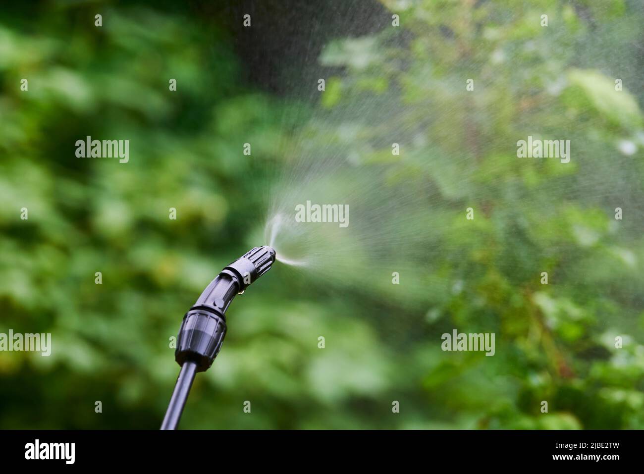 Spraying tree leaves against pests with chemicals or ecological. Detail ...