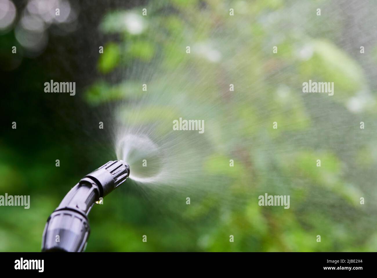 Spraying tree insecticide against hi-res stock photography and images ...