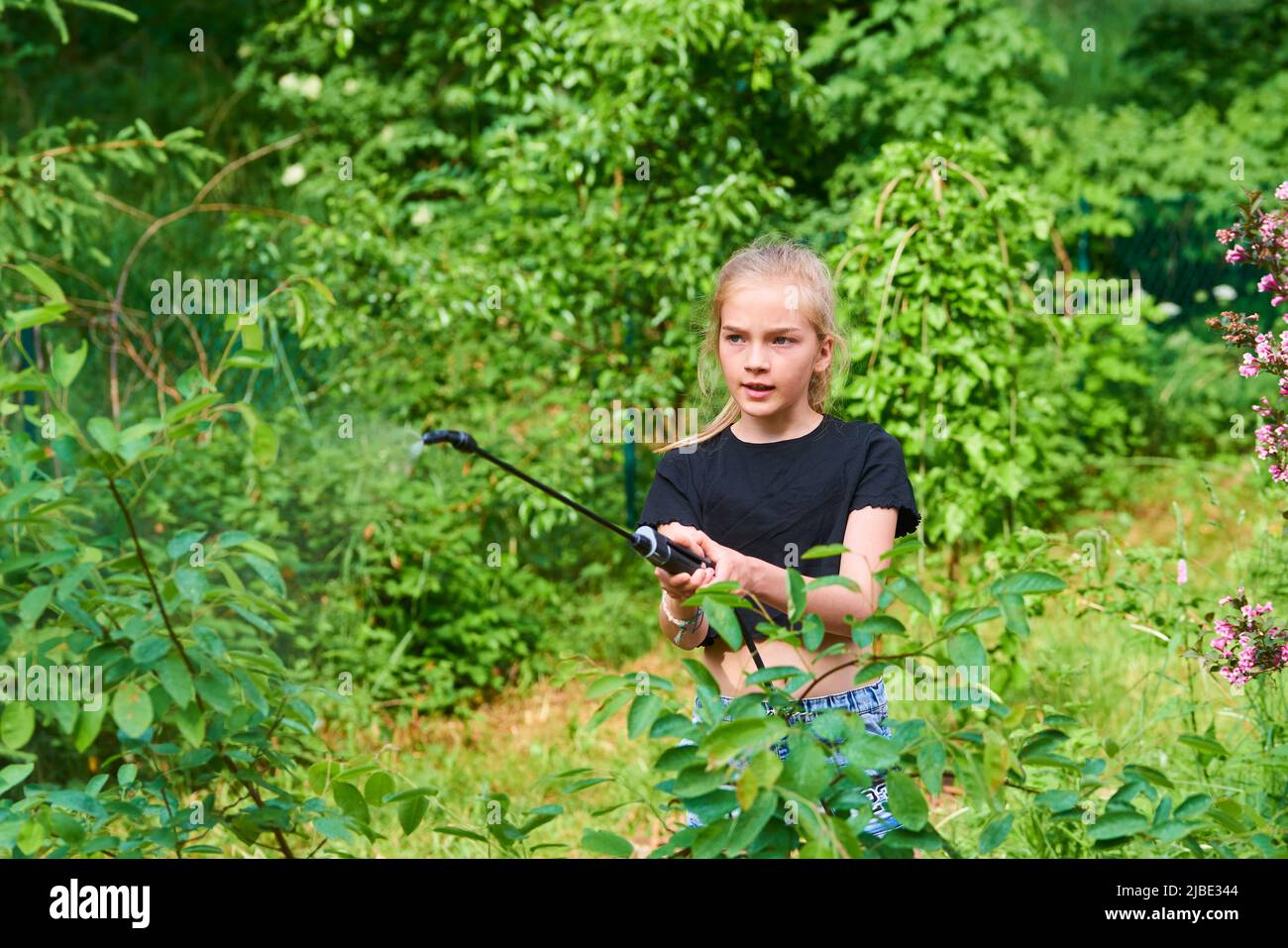 Teenage girl spraying ecological product against aphids and other pests ...
