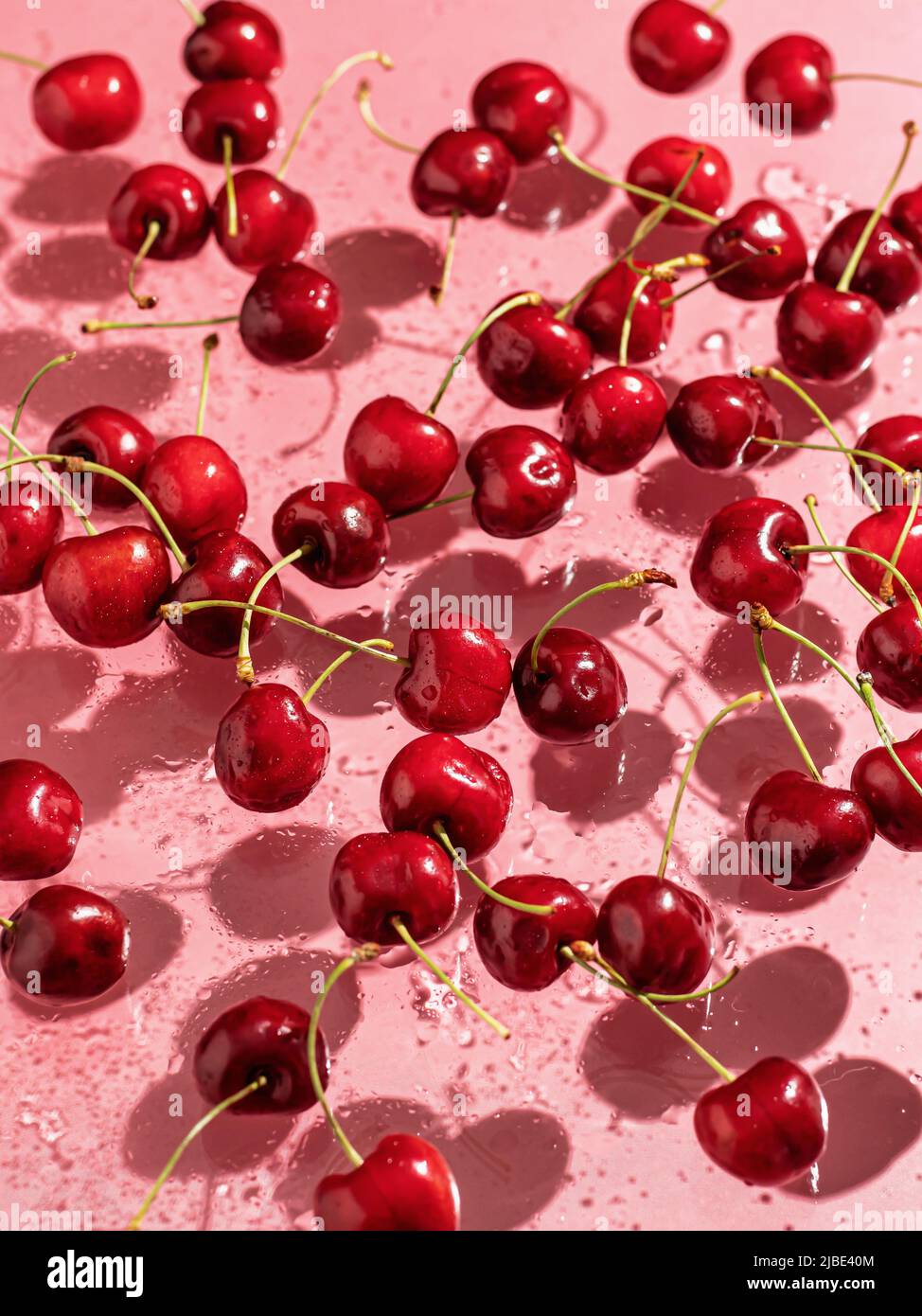 Cherry pattern in modern style on pink background with shadows ...