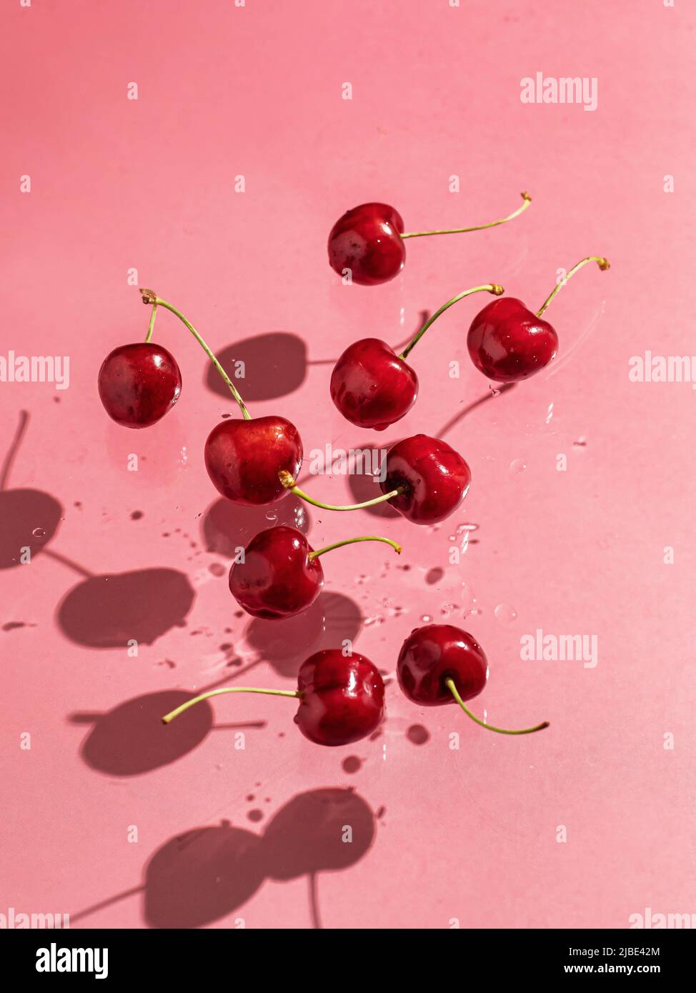 Cherry concept in modern style on pink background with shadows ...