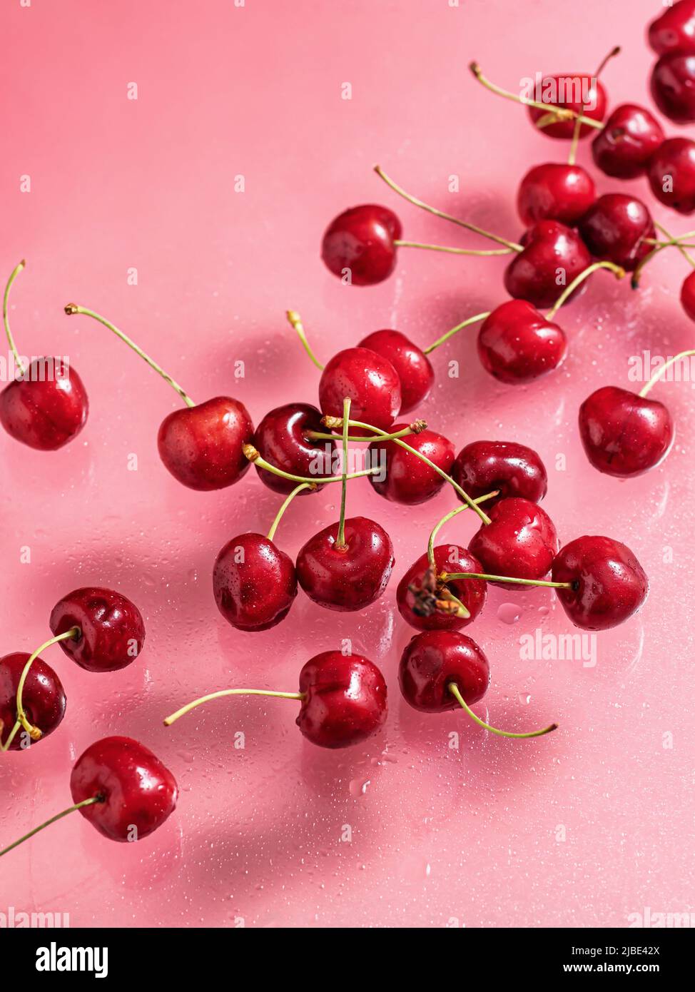 Cherry concept in modern style on pink background with shadows ...