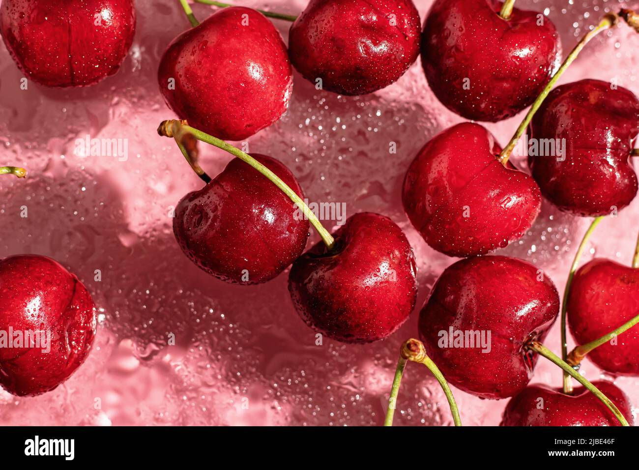 Cherry concept in modern style on pink background with shadows ...
