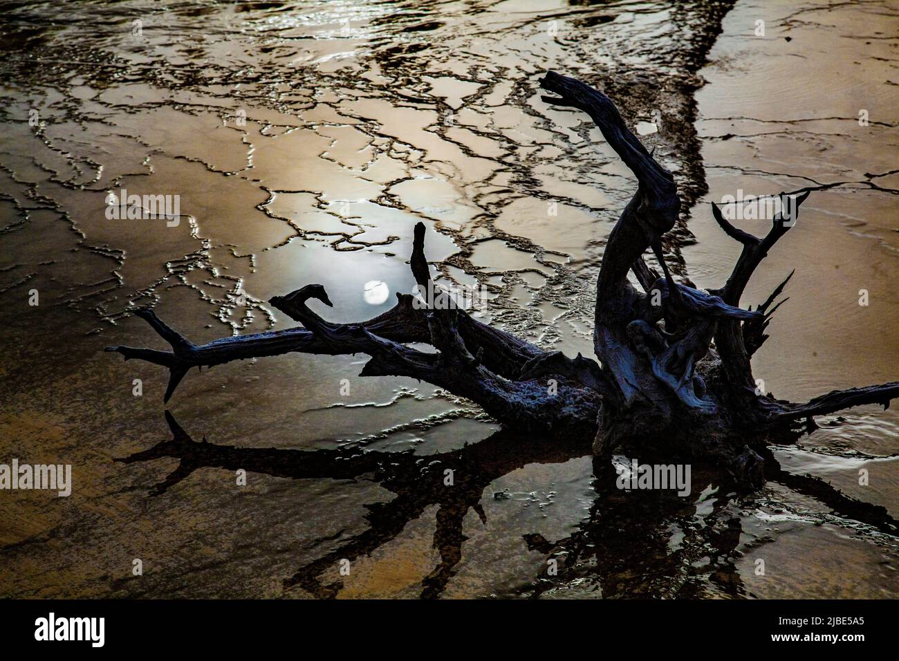 Yellowstone's hot springs colorful hydrothermal features Stock Photo ...