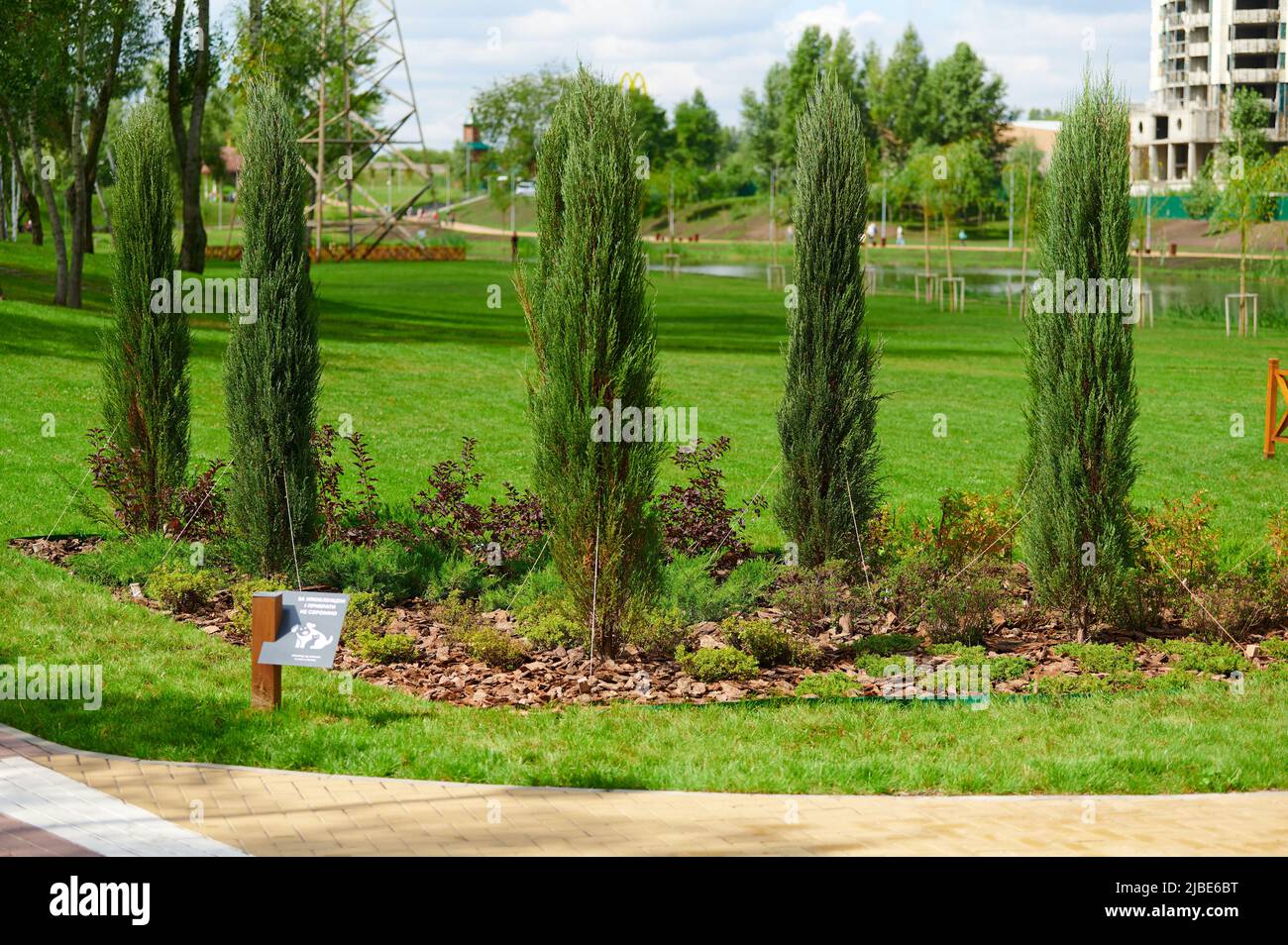 Urban landscaping with perennial plants in landscape design, stone ...
