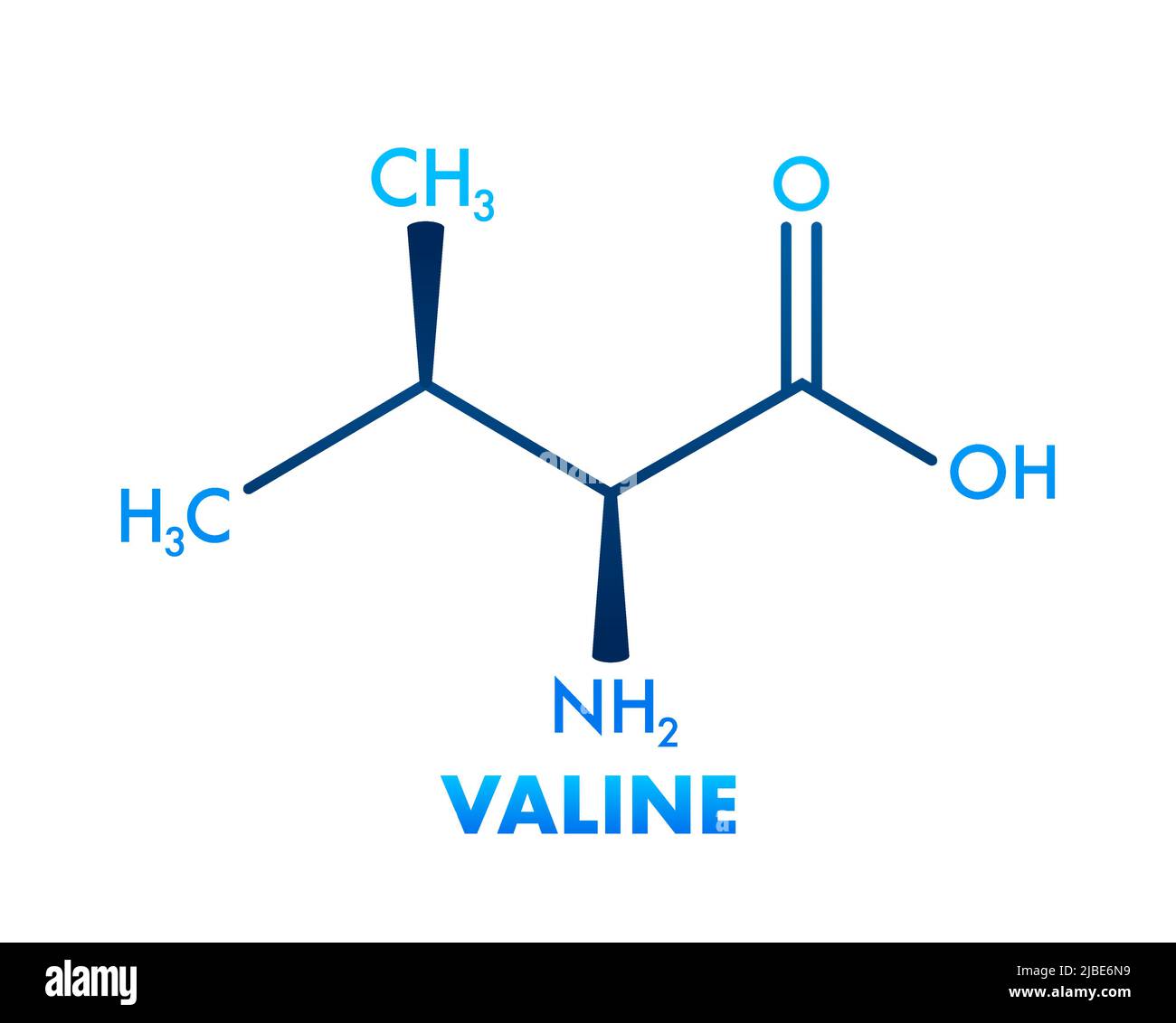 Valine formula for medical design.Valine formula, great design for any ...