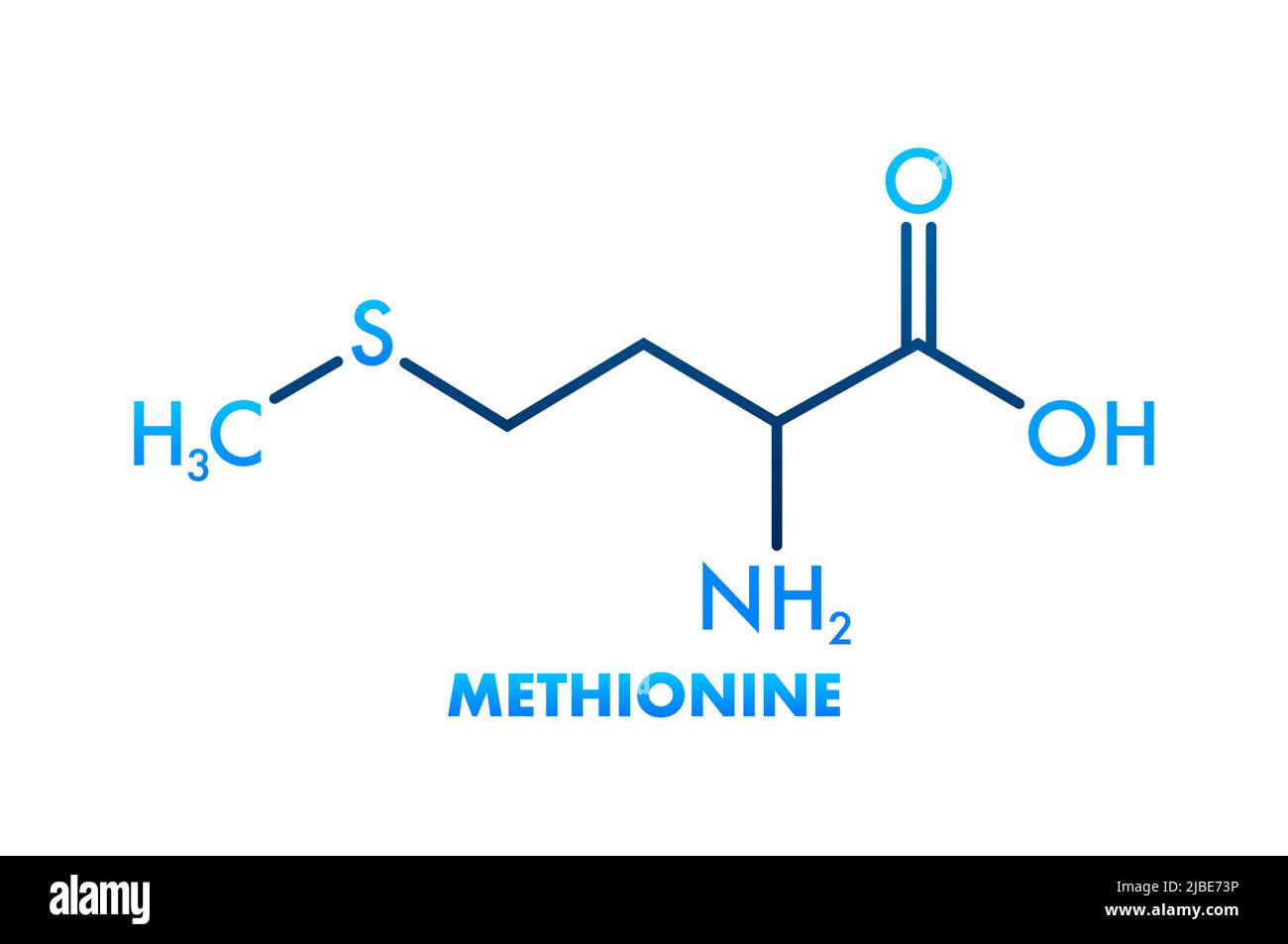 Icon with methionine formula. Amino acid molecule Stock Vector Image ...