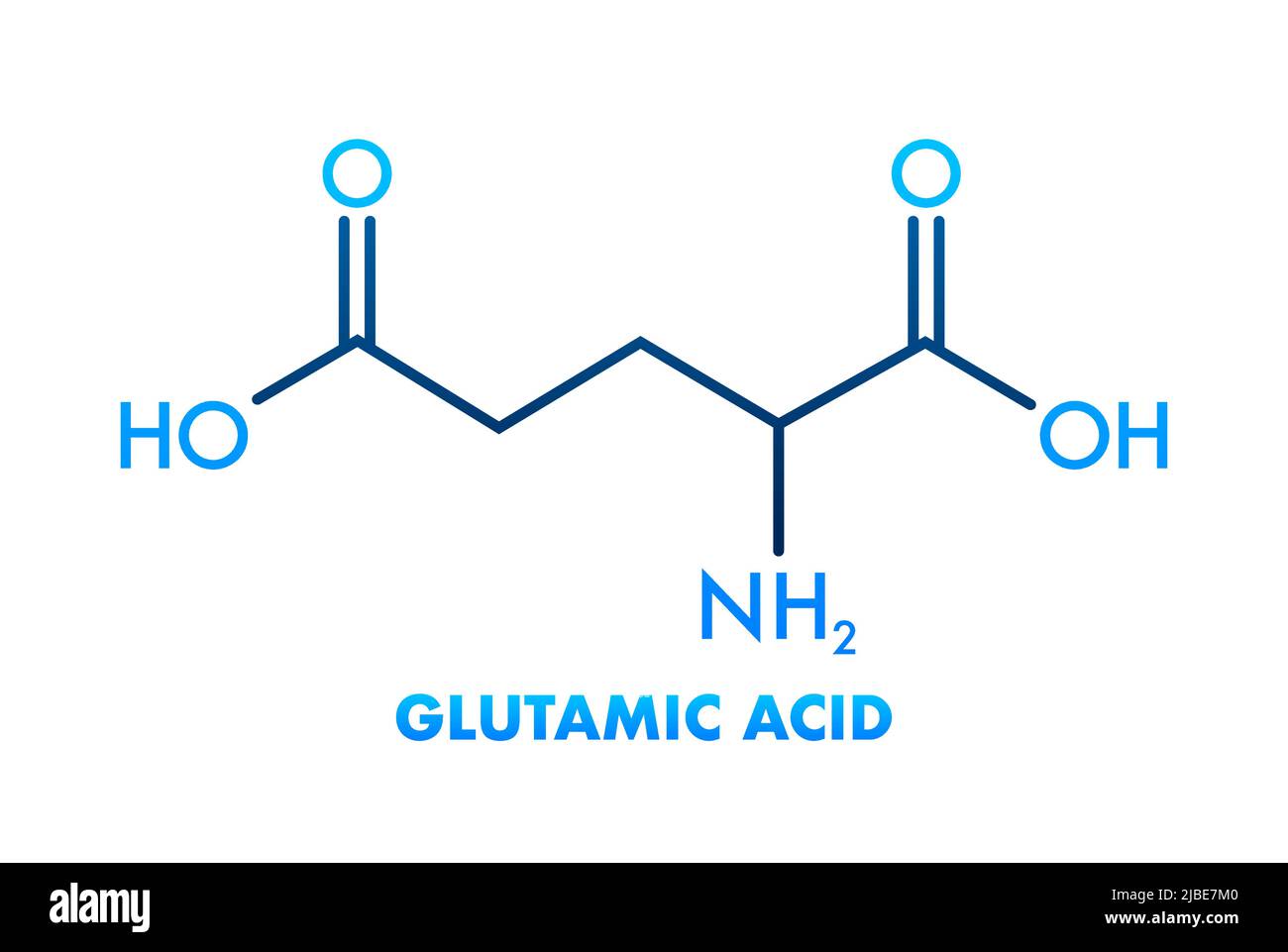 Glutamic Acid Structure