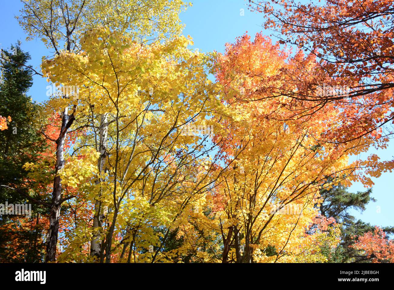 Autumn in country setting with country road Stock Photo - Alamy