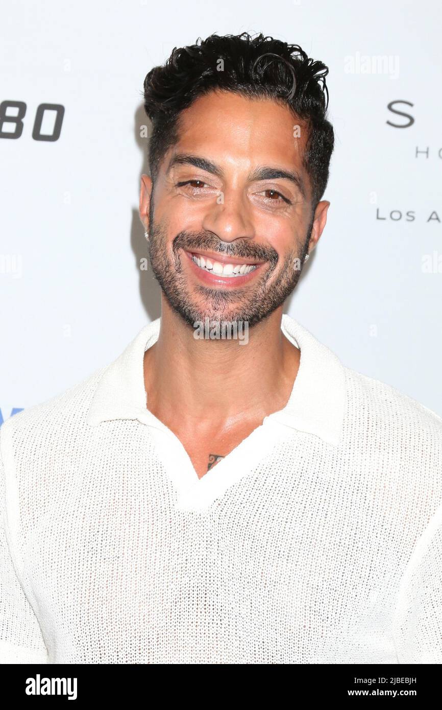 LOS ANGELES - JUN 2: Anthony Bless at the REGARD Magazine's Summer ...