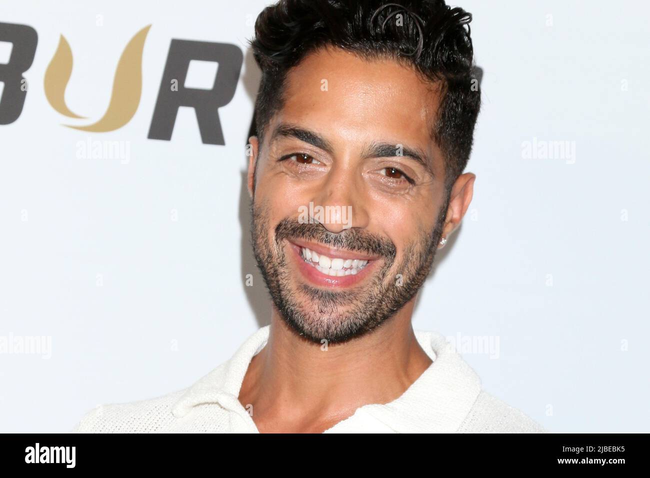 LOS ANGELES - JUN 2: Anthony Bless at the REGARD Magazine's Summer ...