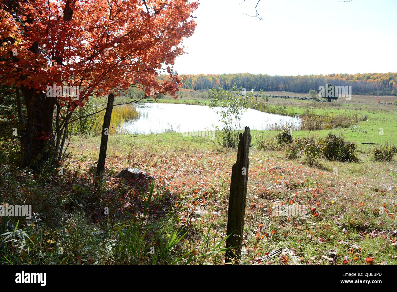 Autumn in country setting with country road Stock Photo - Alamy