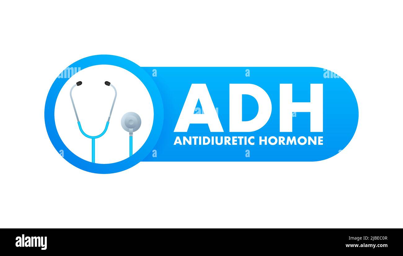 ADH - Antidiuretic Hormone acronym, concept background. Antidiuretic ...