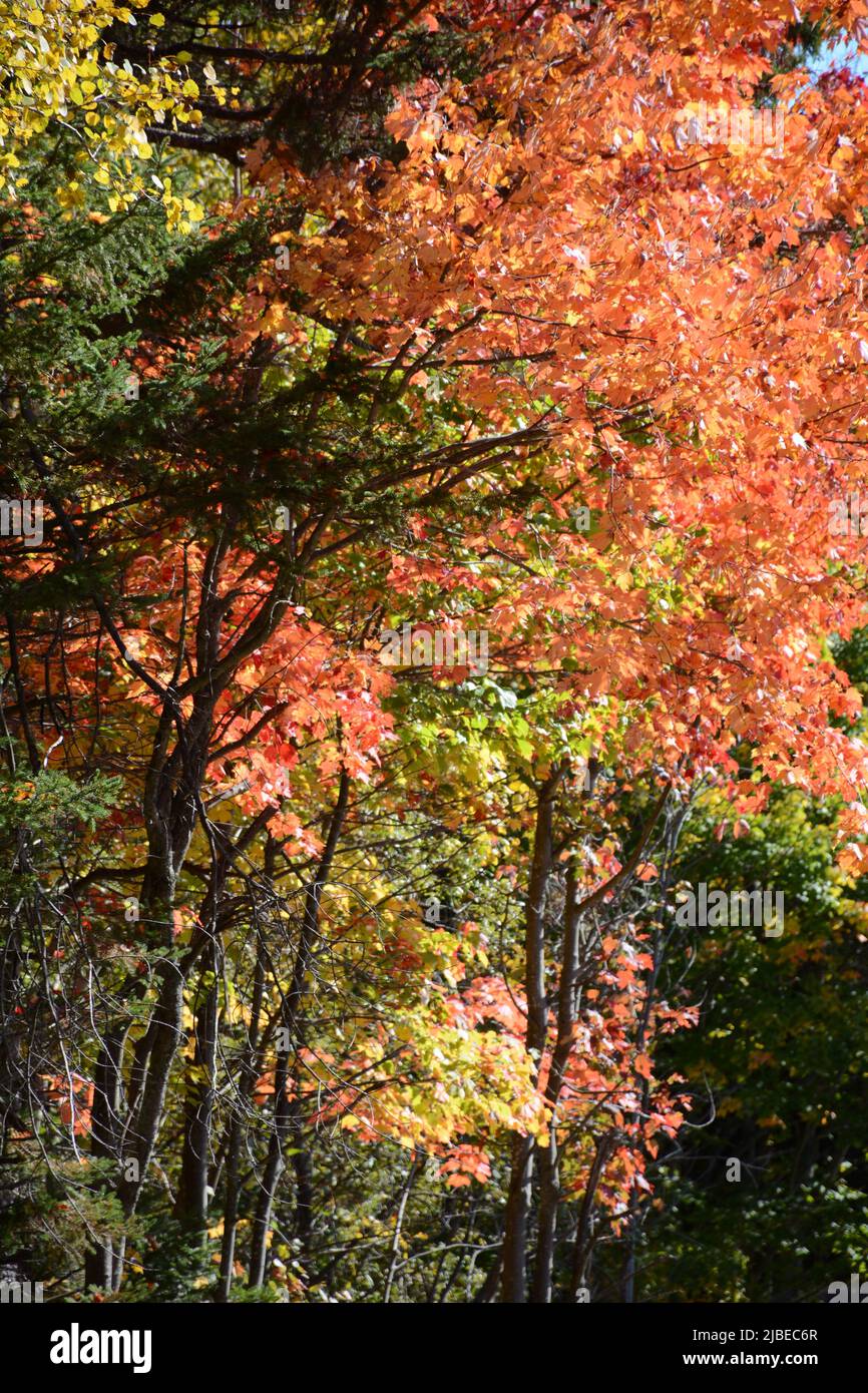 Autumn in country setting with country road Stock Photo - Alamy