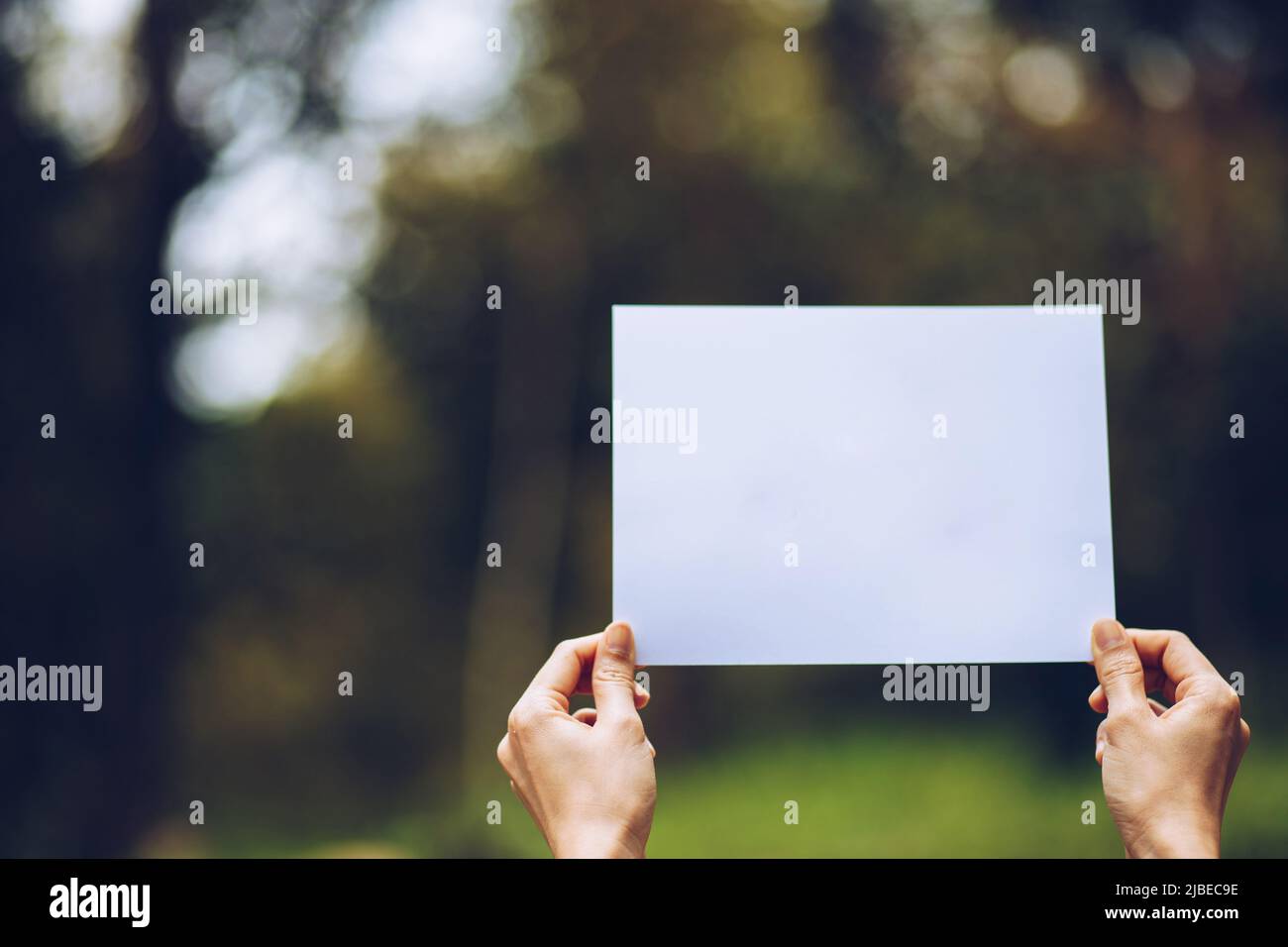 Show business paper in hand on nature background Stock Photo - Alamy