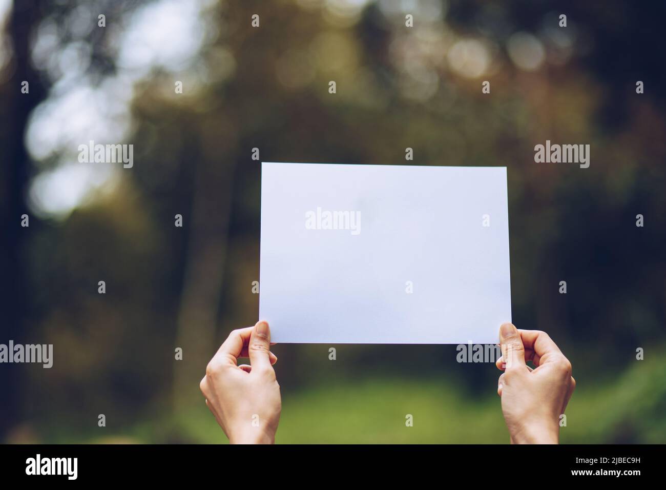 Show business paper in hand on nature background Stock Photo - Alamy