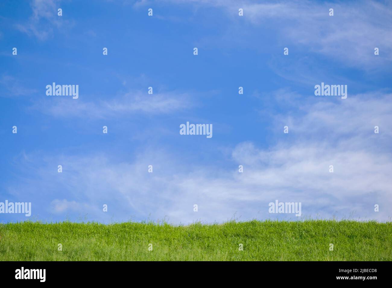 Sky view with grass Stock Photo - Alamy