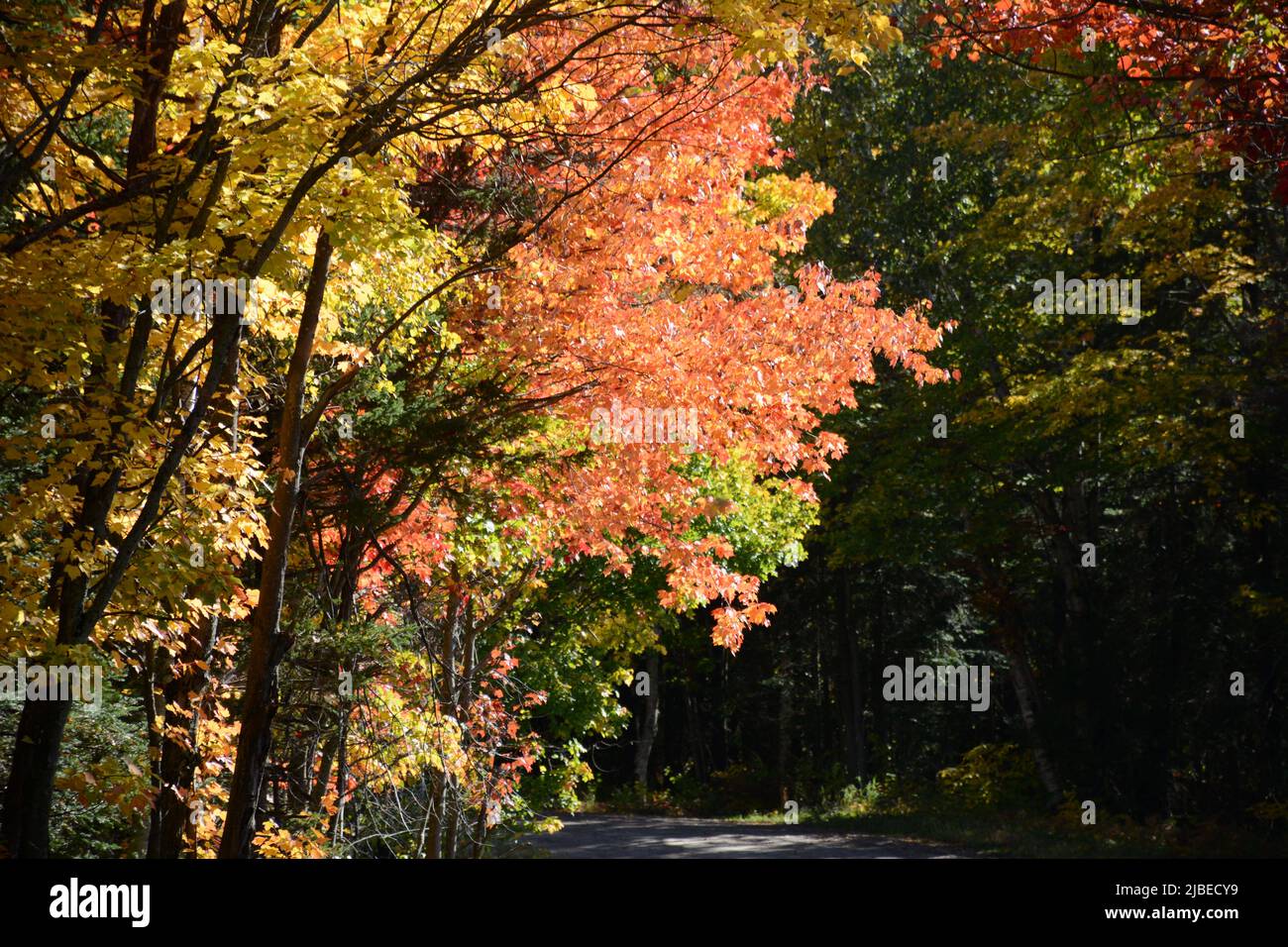 Autumn in country setting with country road Stock Photo - Alamy