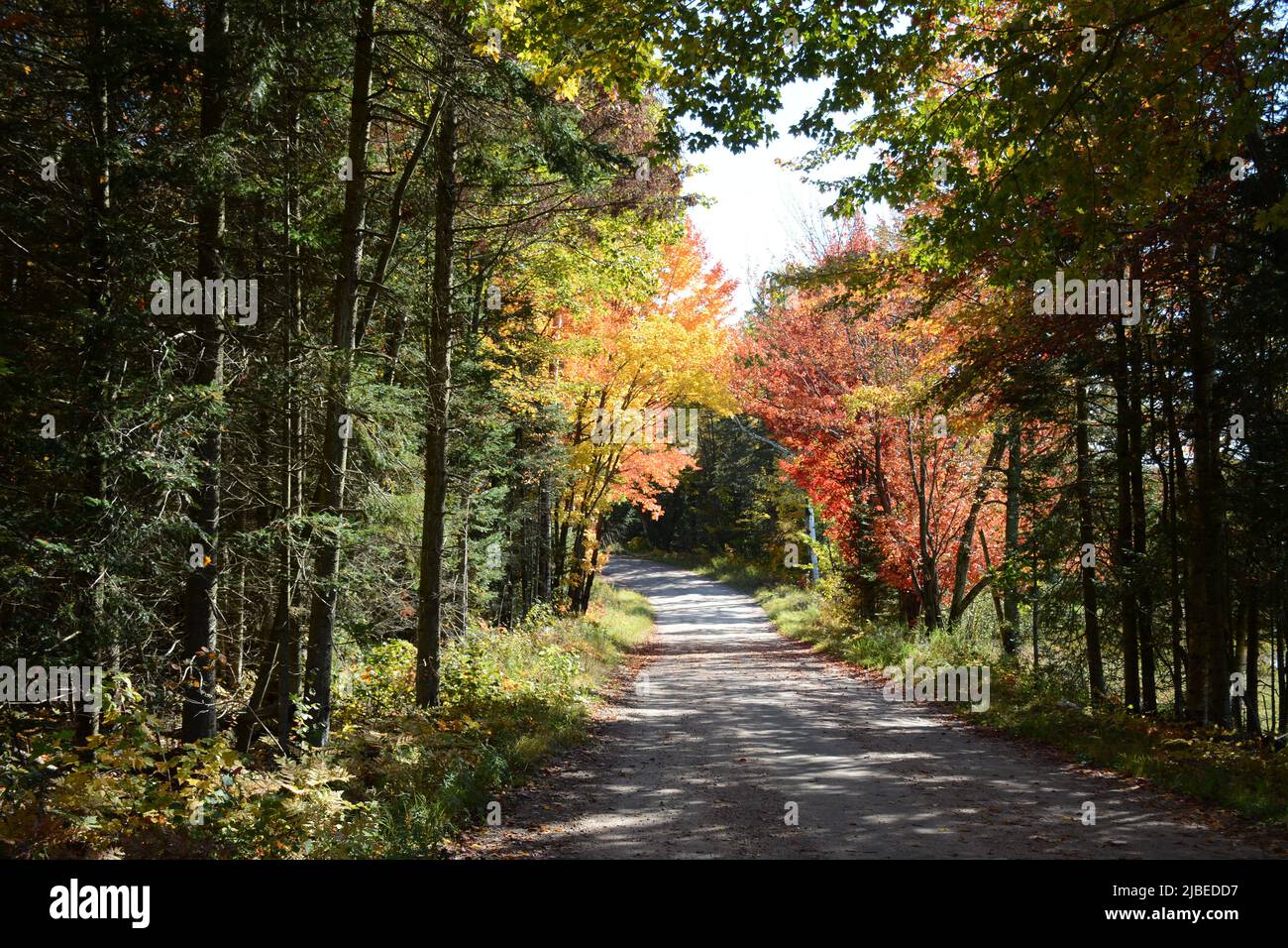 Autumn in country setting with country road Stock Photo - Alamy