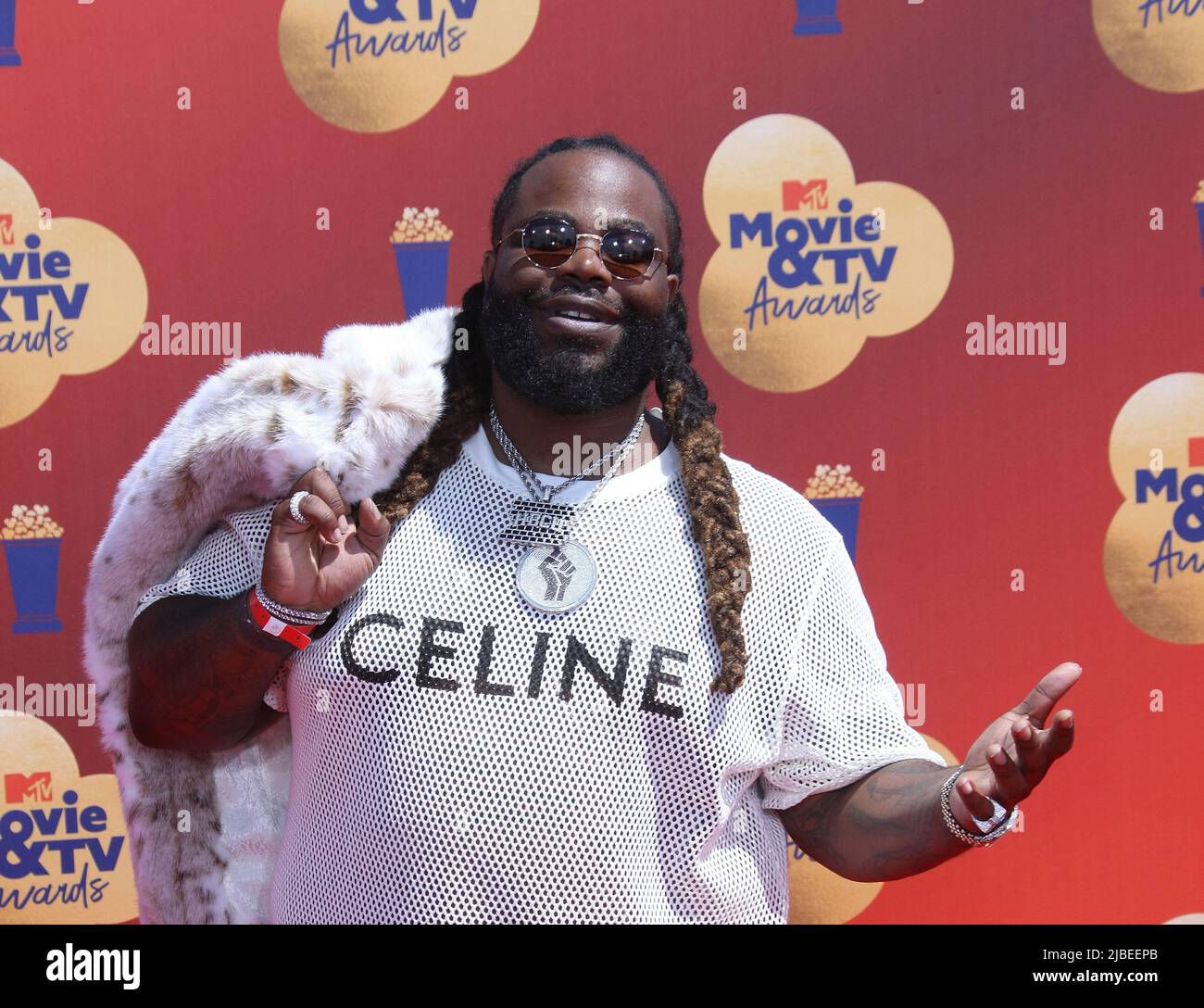 Santa Monica, USA. 05th June, 2022. Darren Brand attends the 2022 MTV ...