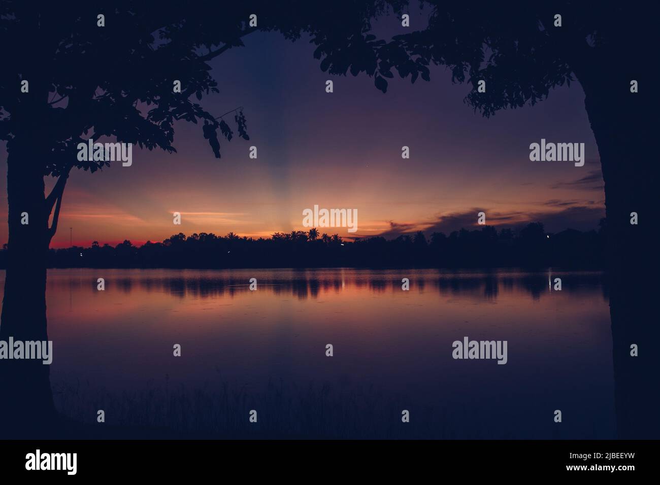 Beautiful sun light in the evening at the river Stock Photo - Alamy