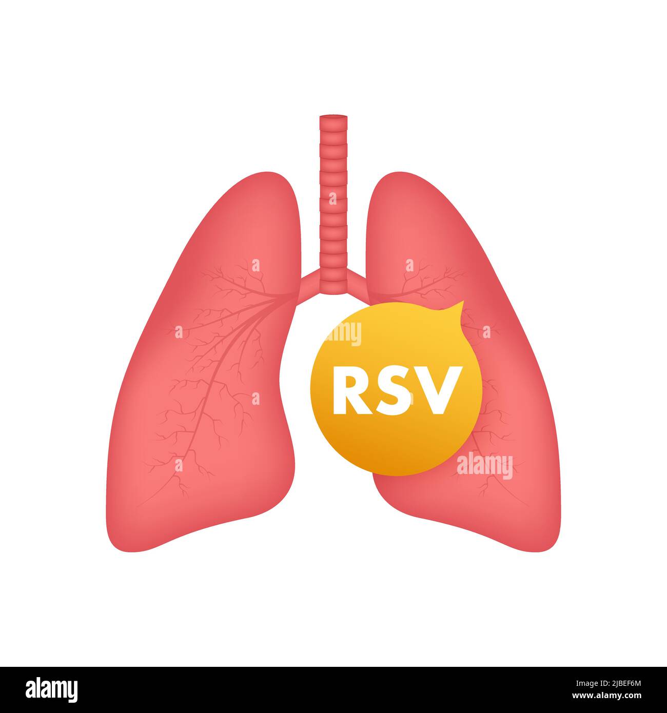 RSV Respiratory Syncytial Virus and lung icon. Vector illustration ...