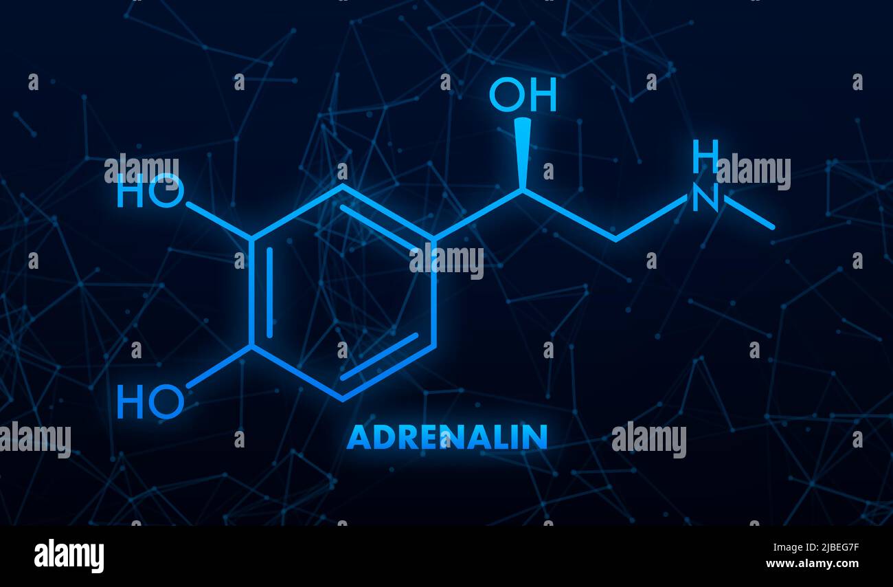 Adrenaline or adrenalin, epinephrine neurotransmitter molecule ...
