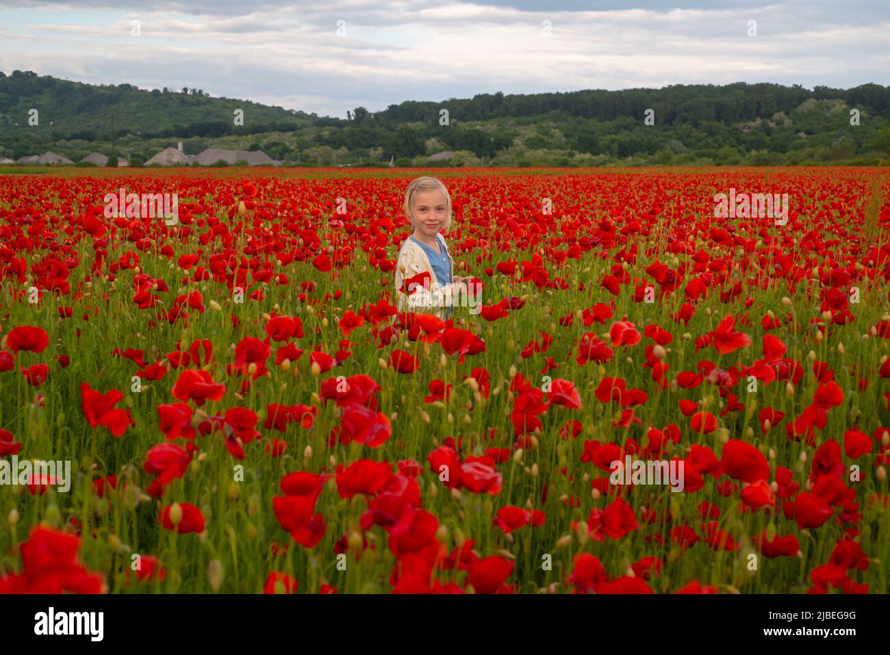 Little girl play outdoor in poppy field. Lovely child on poppies ...