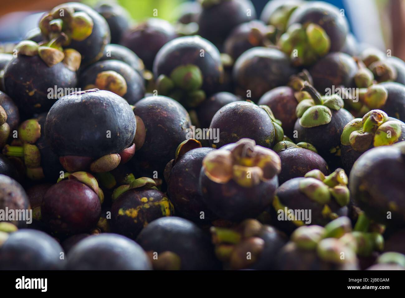 Mangosteen queen of fruit Stock Photo - Alamy