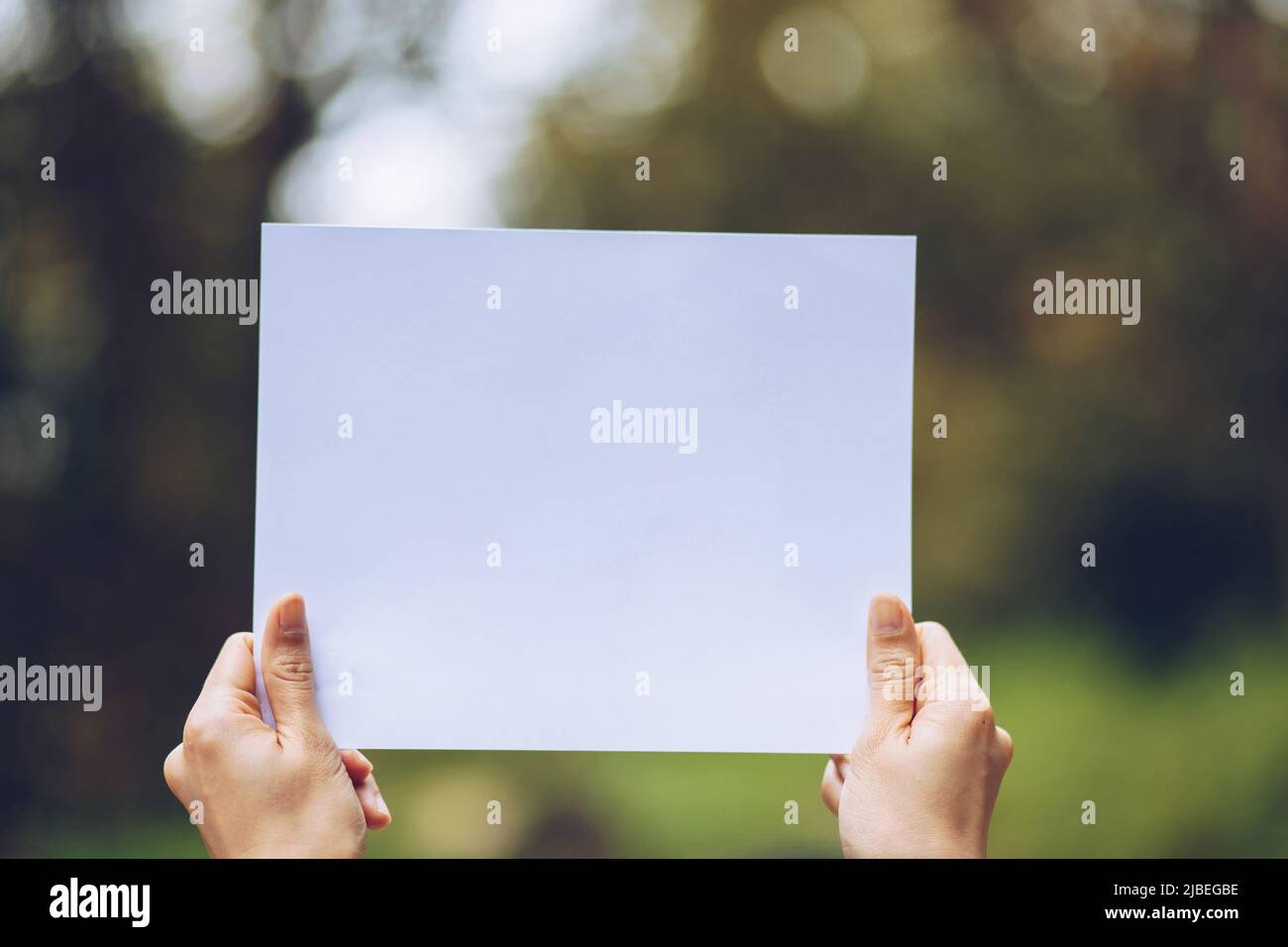 Show business paper in hand on nature background Stock Photo - Alamy